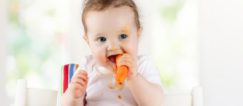 Introducing Solid Foods with Baby-Led Weaning | Pediatrix & Obstetrix